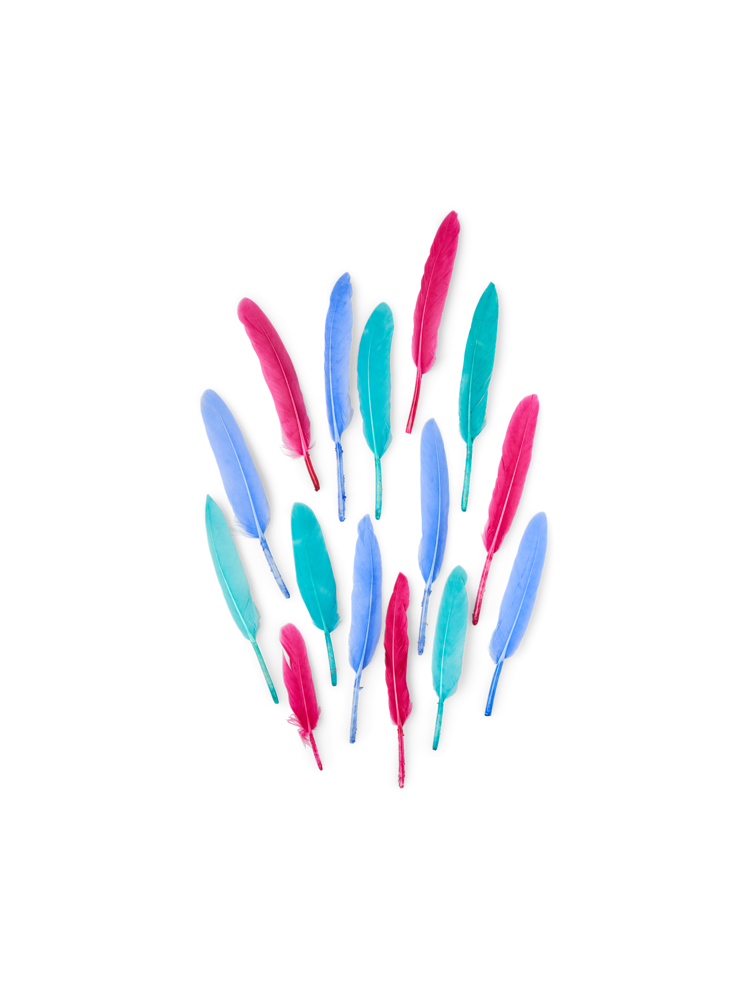 Feathers | Goose feathers. 10-15 cm. 15 pcs. | Søstrene Grene