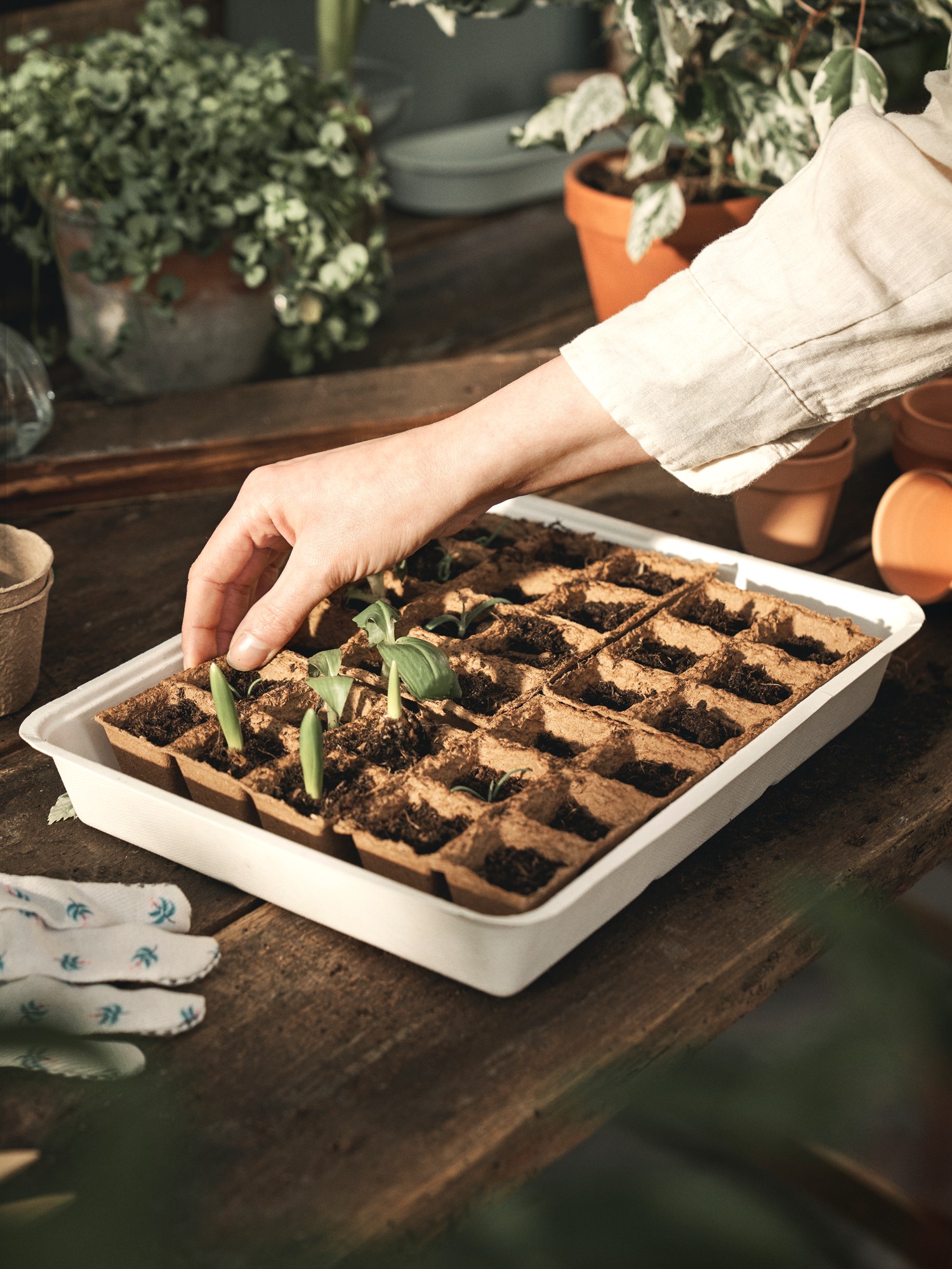 Nieuw | Søstrene Grene