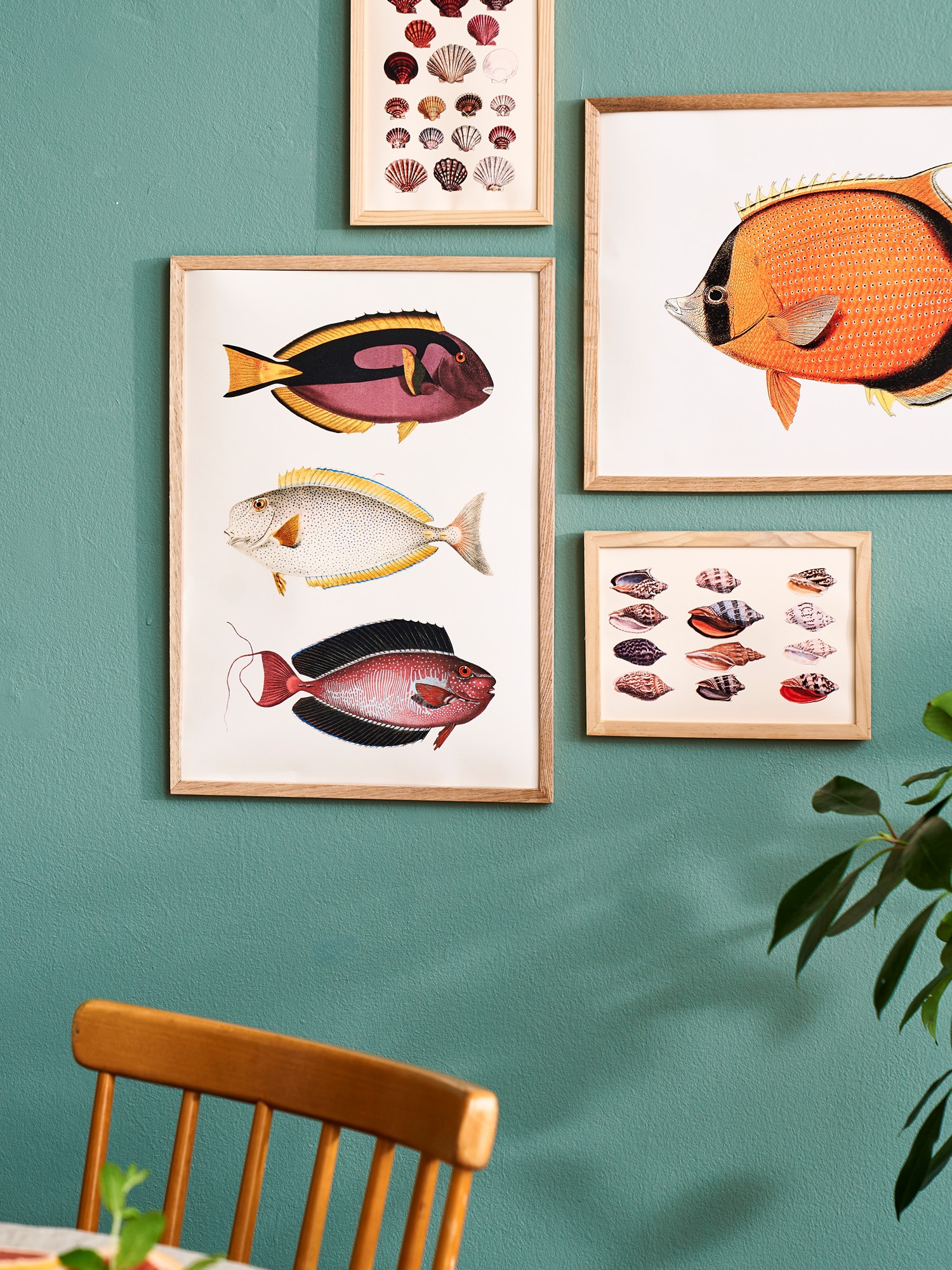 Cadres et posters | Jolie déco pour vos murs | Søstrene Grene