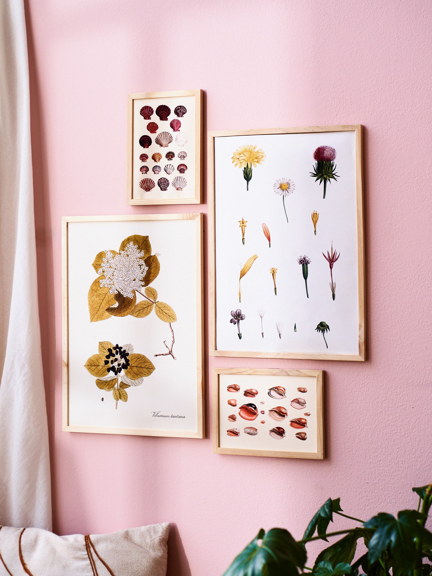 Cadres et posters | Jolie déco pour vos murs | Søstrene Grene