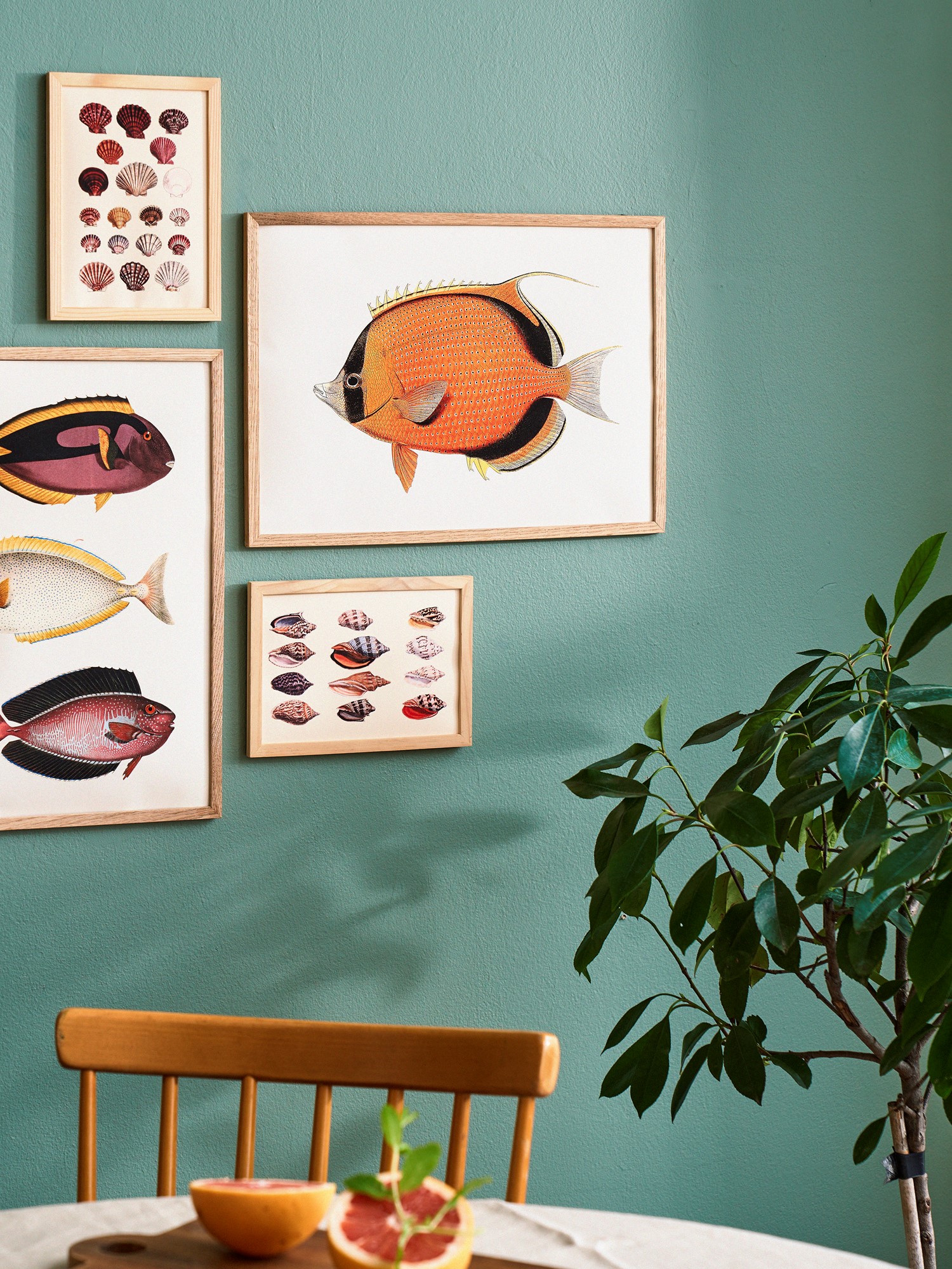 Cadres et posters | Jolie déco pour vos murs | Søstrene Grene