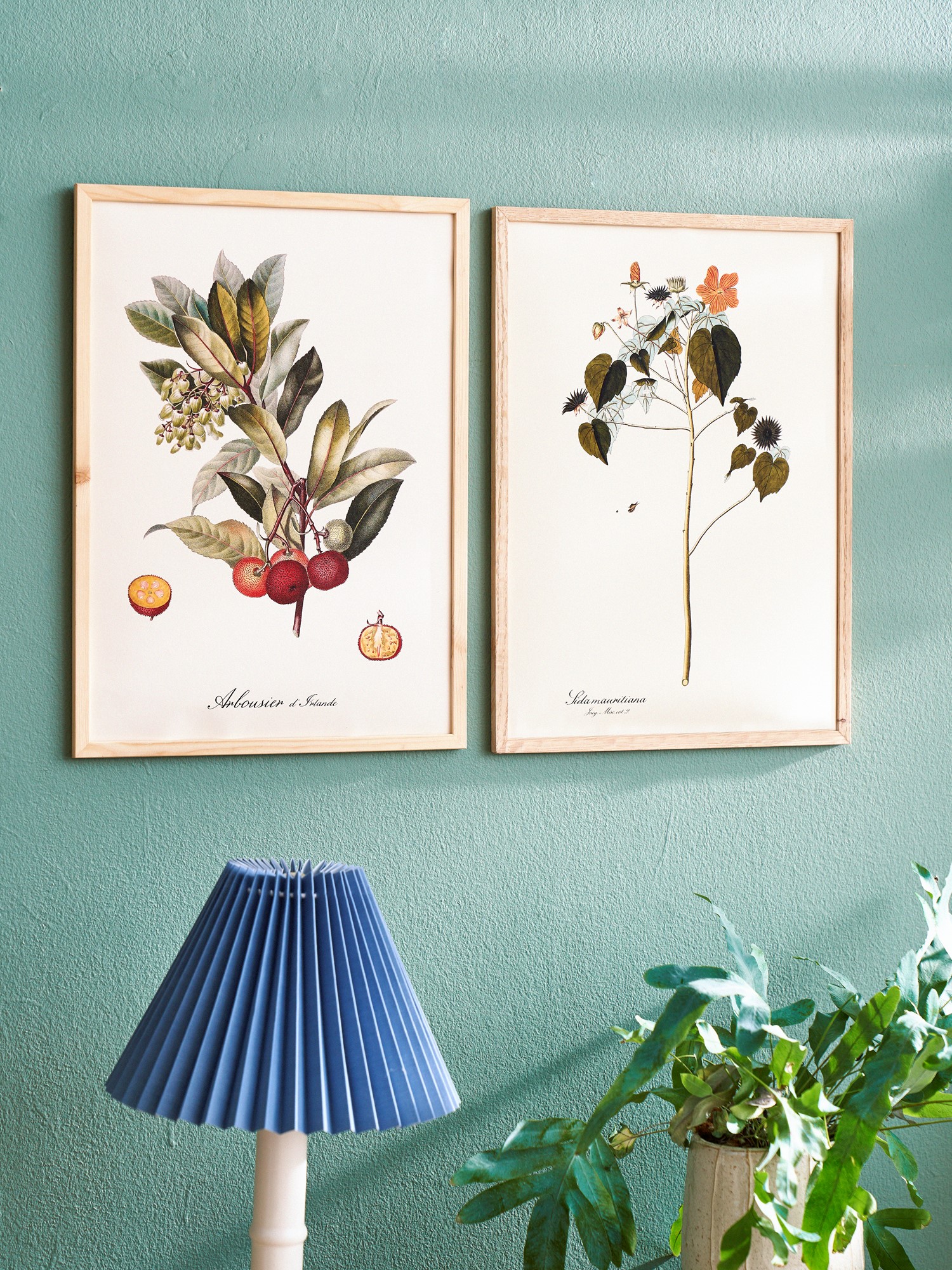 Cadres et posters | Jolie déco pour vos murs | Søstrene Grene