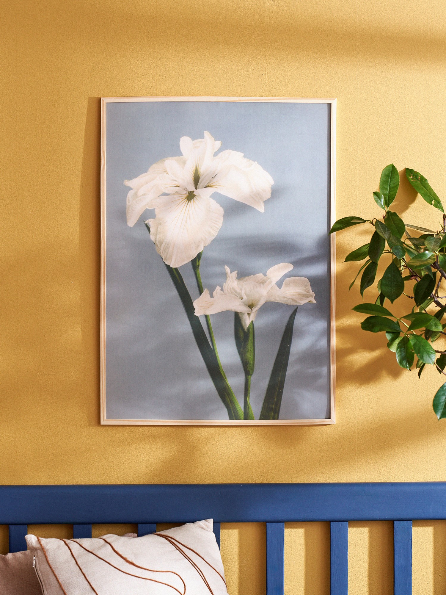 Cadres et posters | Jolie déco pour vos murs | Søstrene Grene