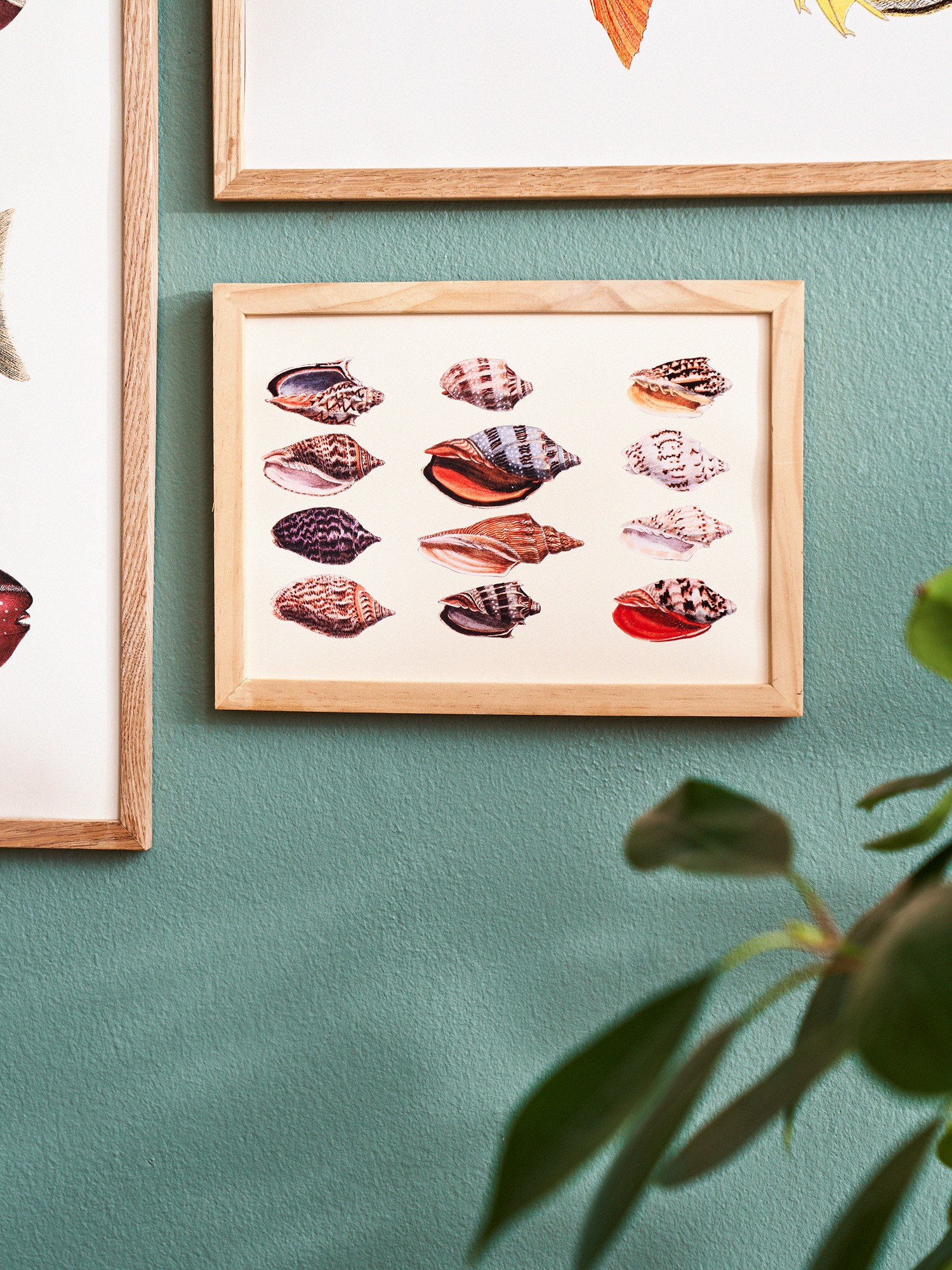 Cadres et posters | Jolie déco pour vos murs | Søstrene Grene