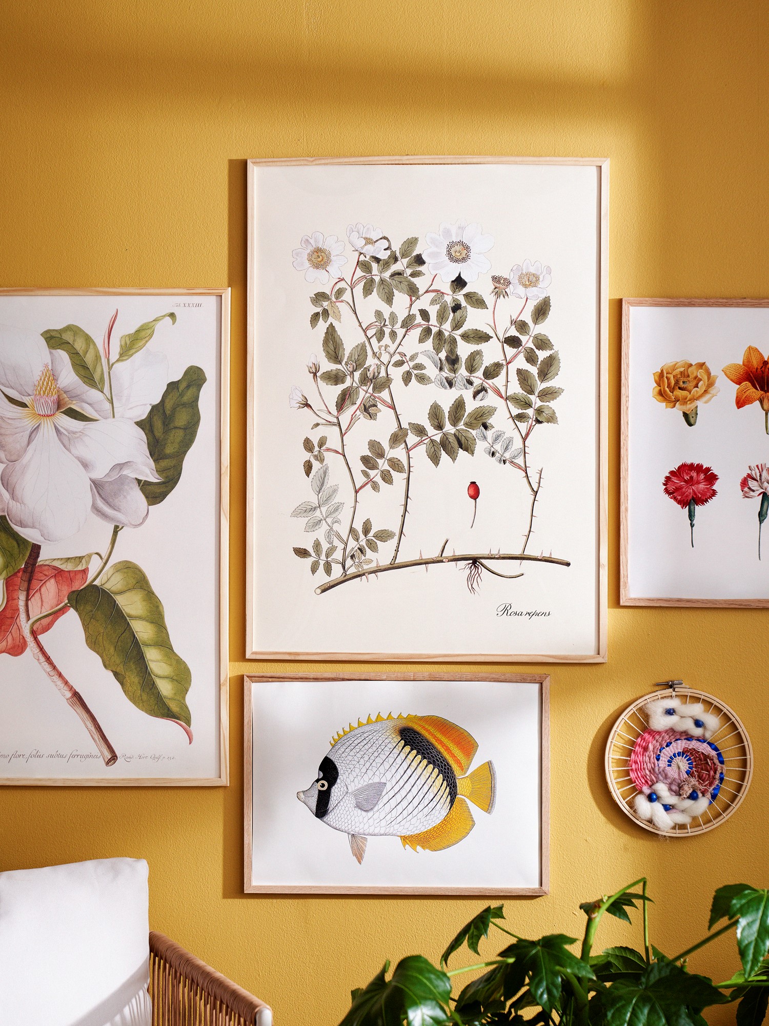 Frames and posters | Beautiful decoration for your walls | Søstrene Grene