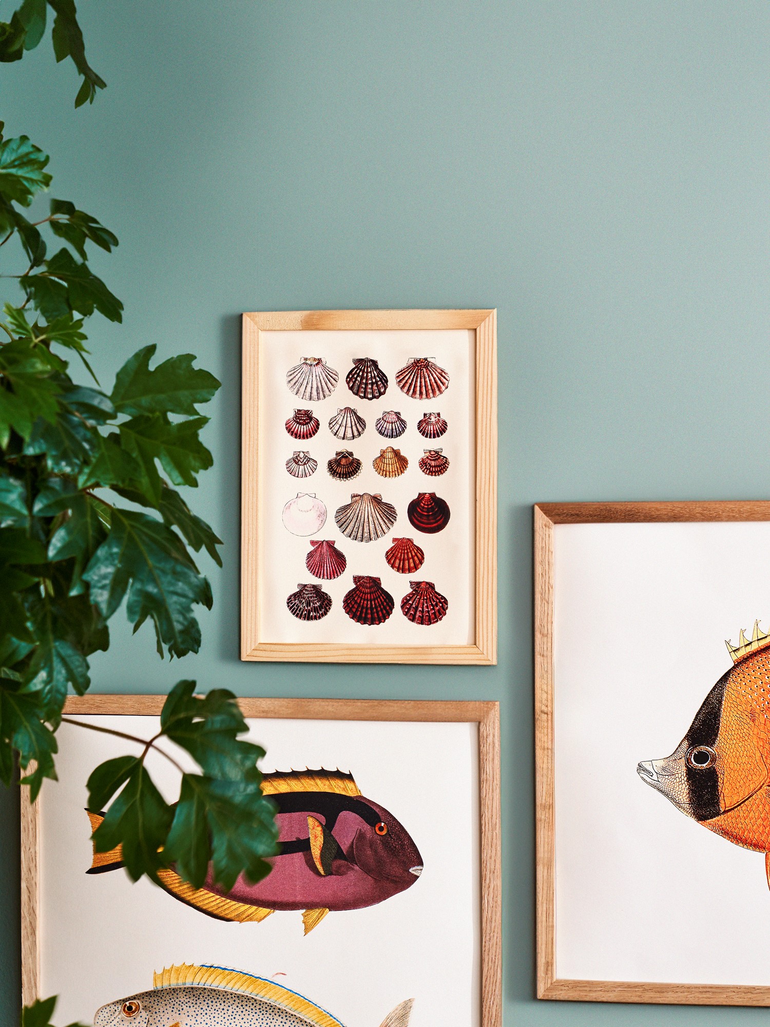 Cadres et posters | Jolie déco pour vos murs | Søstrene Grene