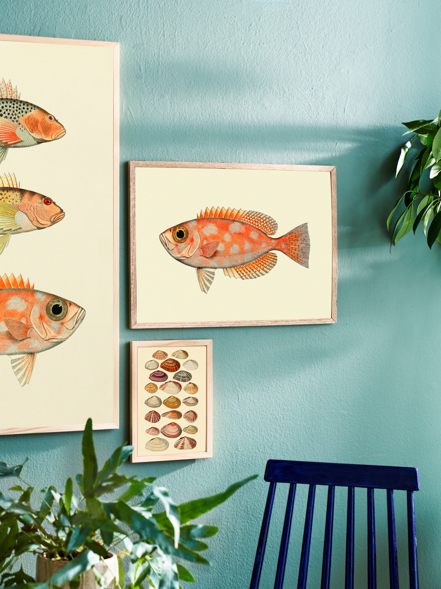 Ramar och affischer | Få vackra väggar | Søstrene Grene