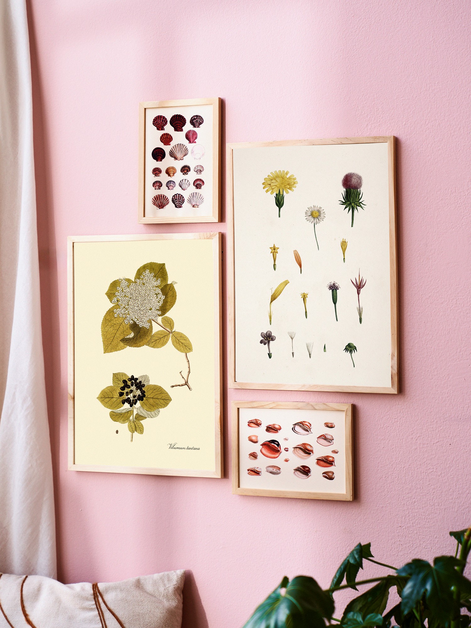 Rammer og plakater | Innredn. til vegg | Søstrene Grene