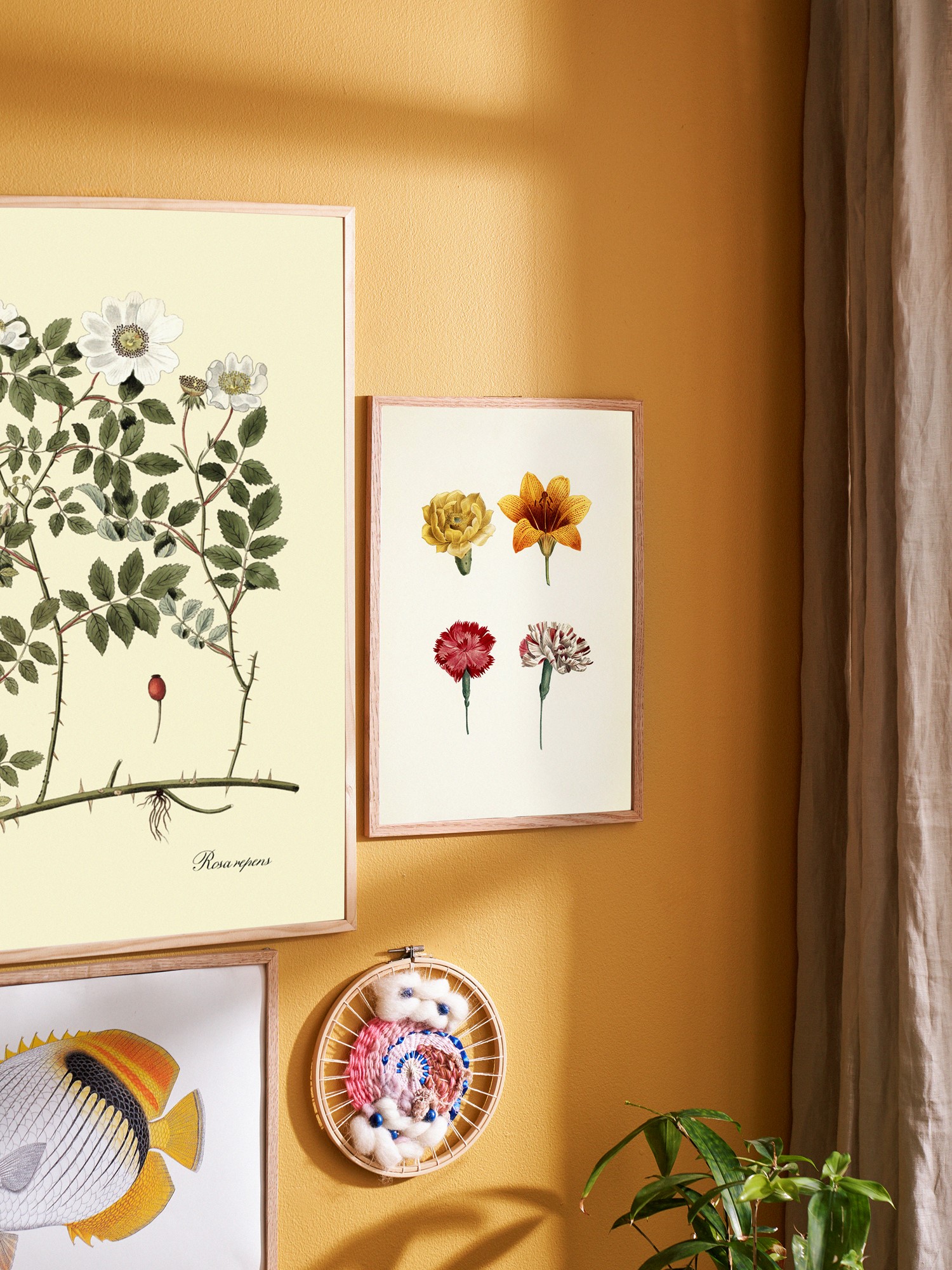 Ramar och affischer | Få vackra väggar | Søstrene Grene