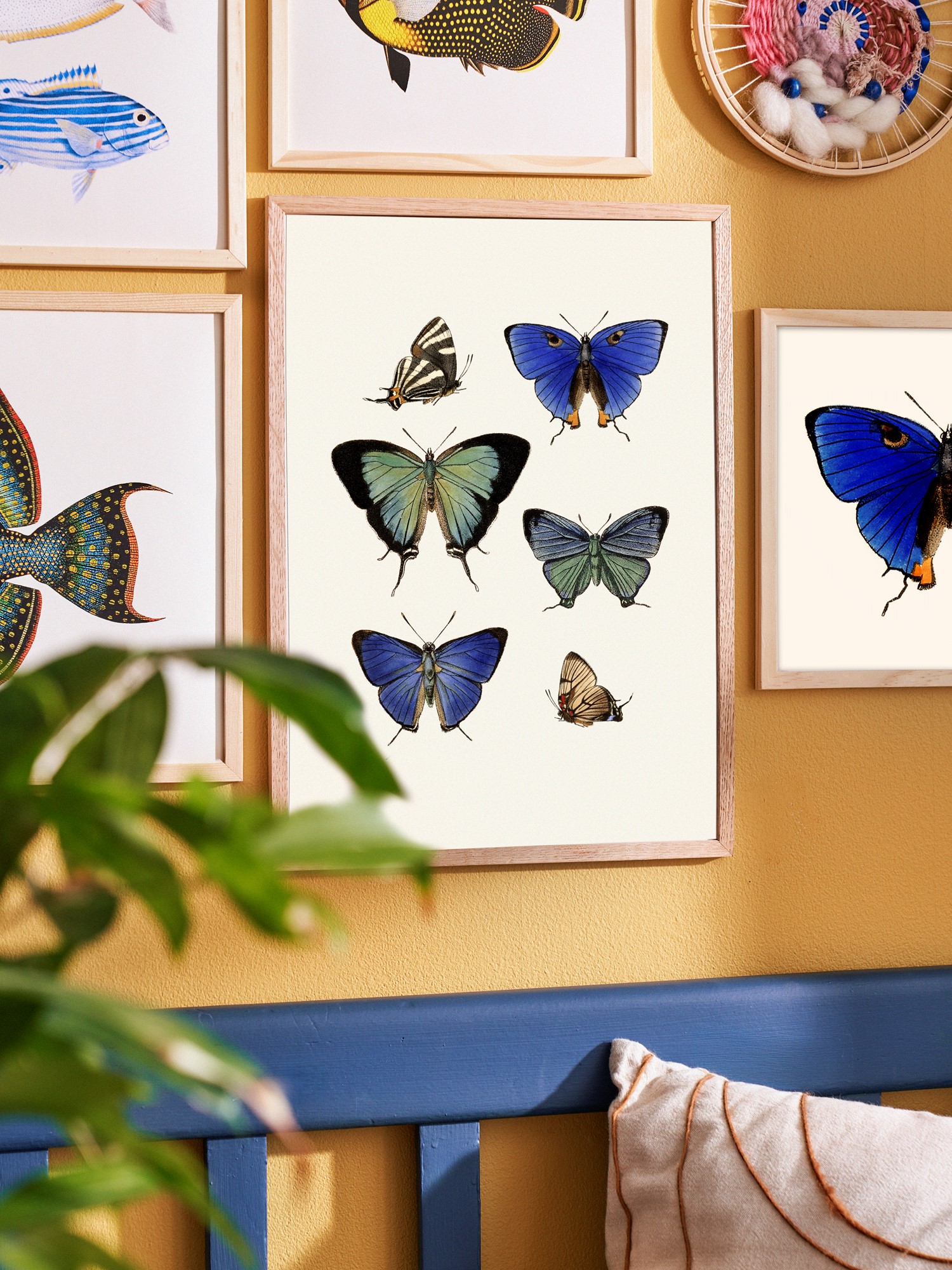 Frames and posters | Beautiful decoration for your walls | Søstrene Grene