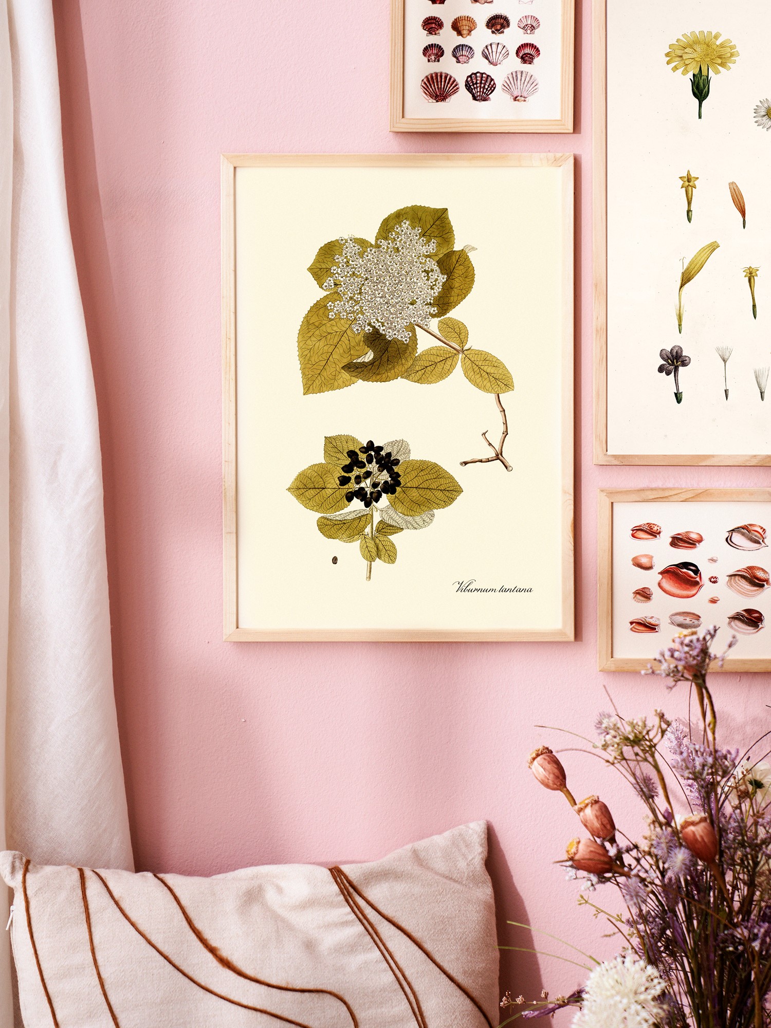 Frames and posters | Beautiful decoration for your walls | Søstrene Grene
