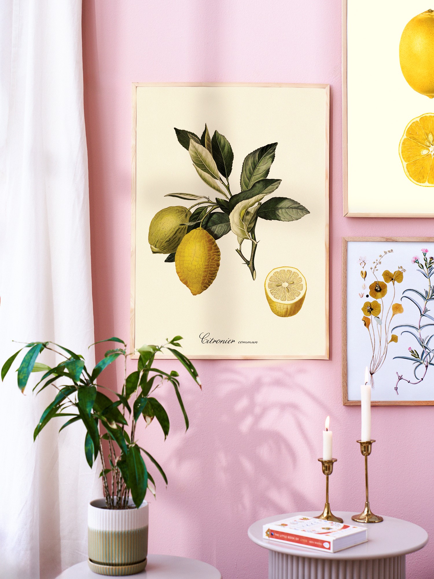 Frames and posters | Beautiful decoration for your walls | Søstrene Grene