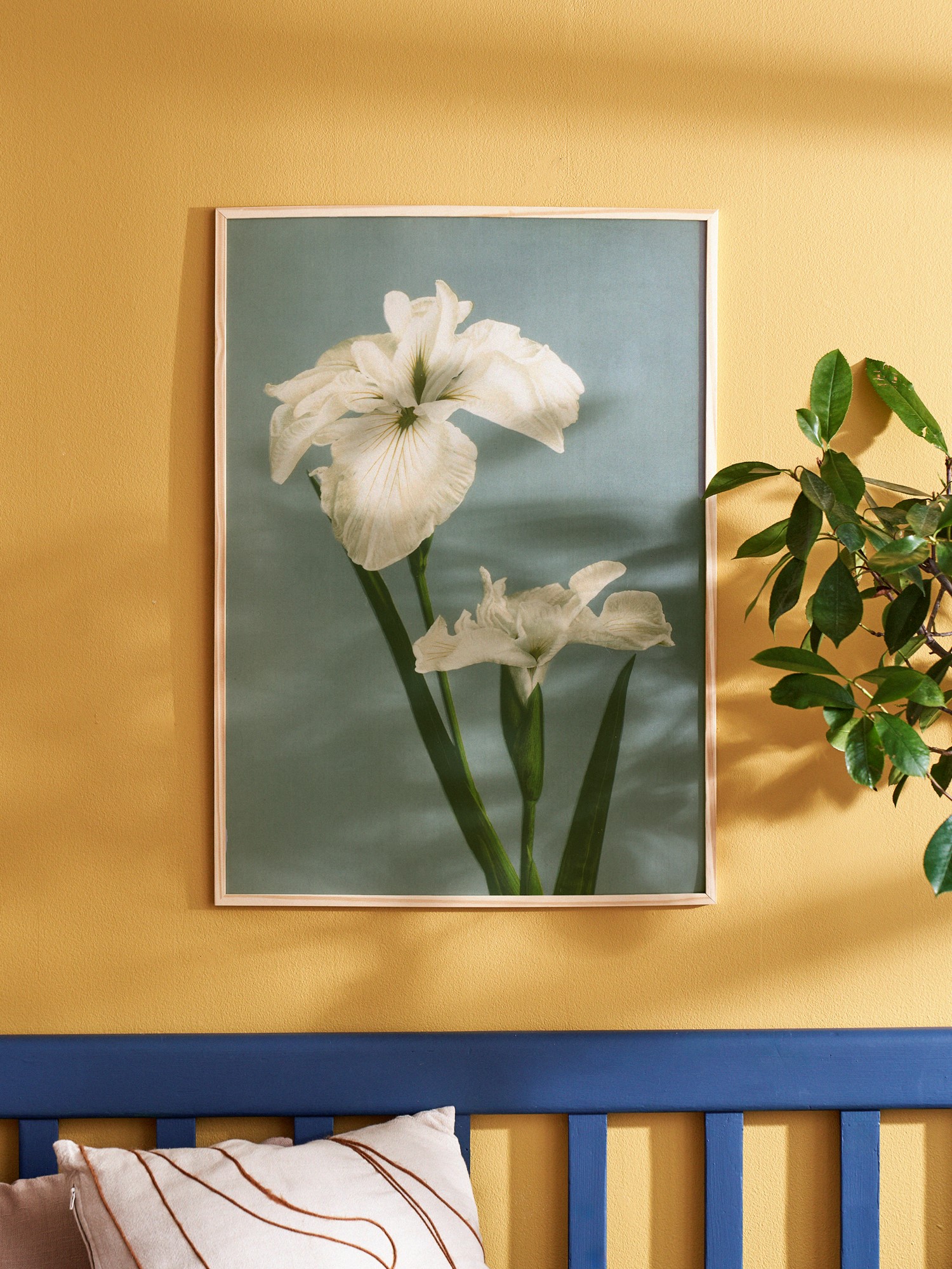 Frames and posters | Beautiful decoration for your walls | Søstrene Grene