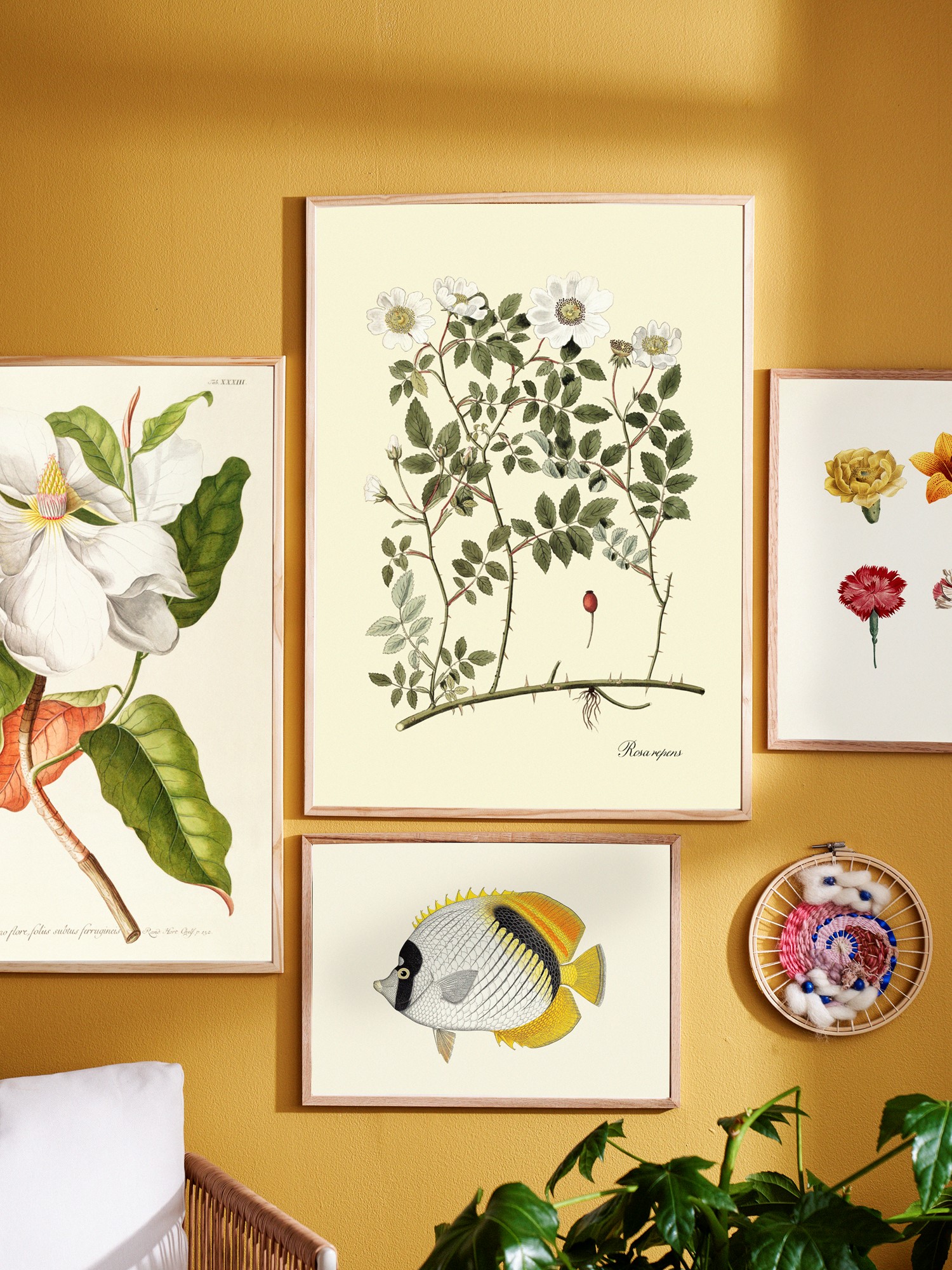 Ramar och affischer | Få vackra väggar | Søstrene Grene