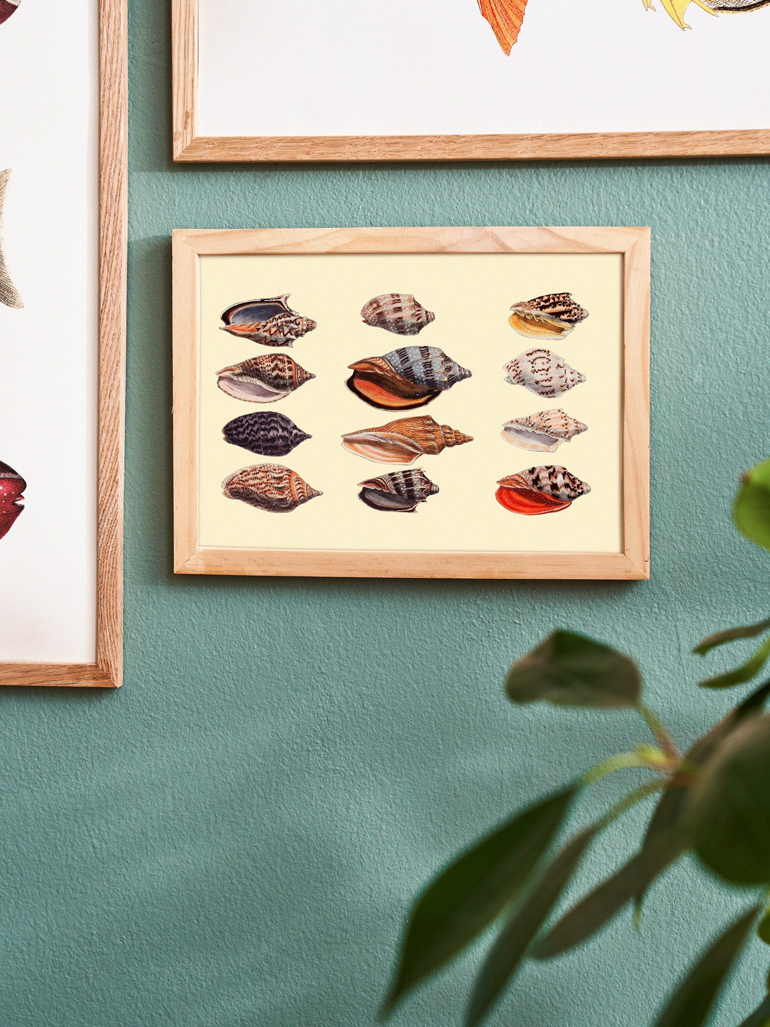 Frames and posters | Beautiful decoration for your walls | Søstrene Grene