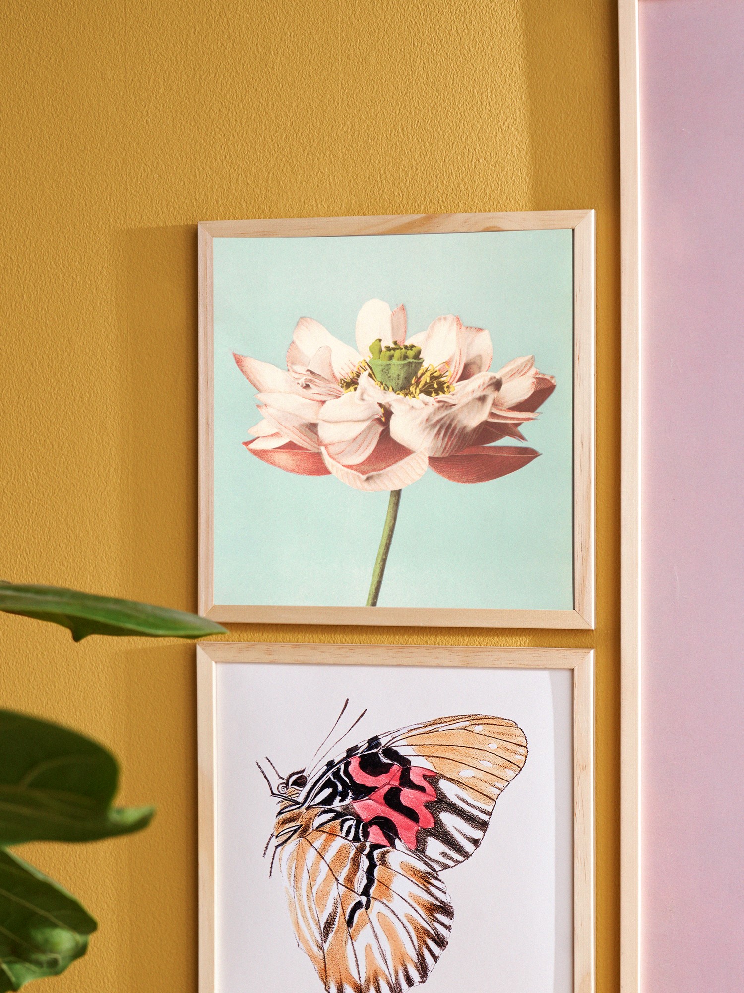 Ramar och affischer | Få vackra väggar | Søstrene Grene