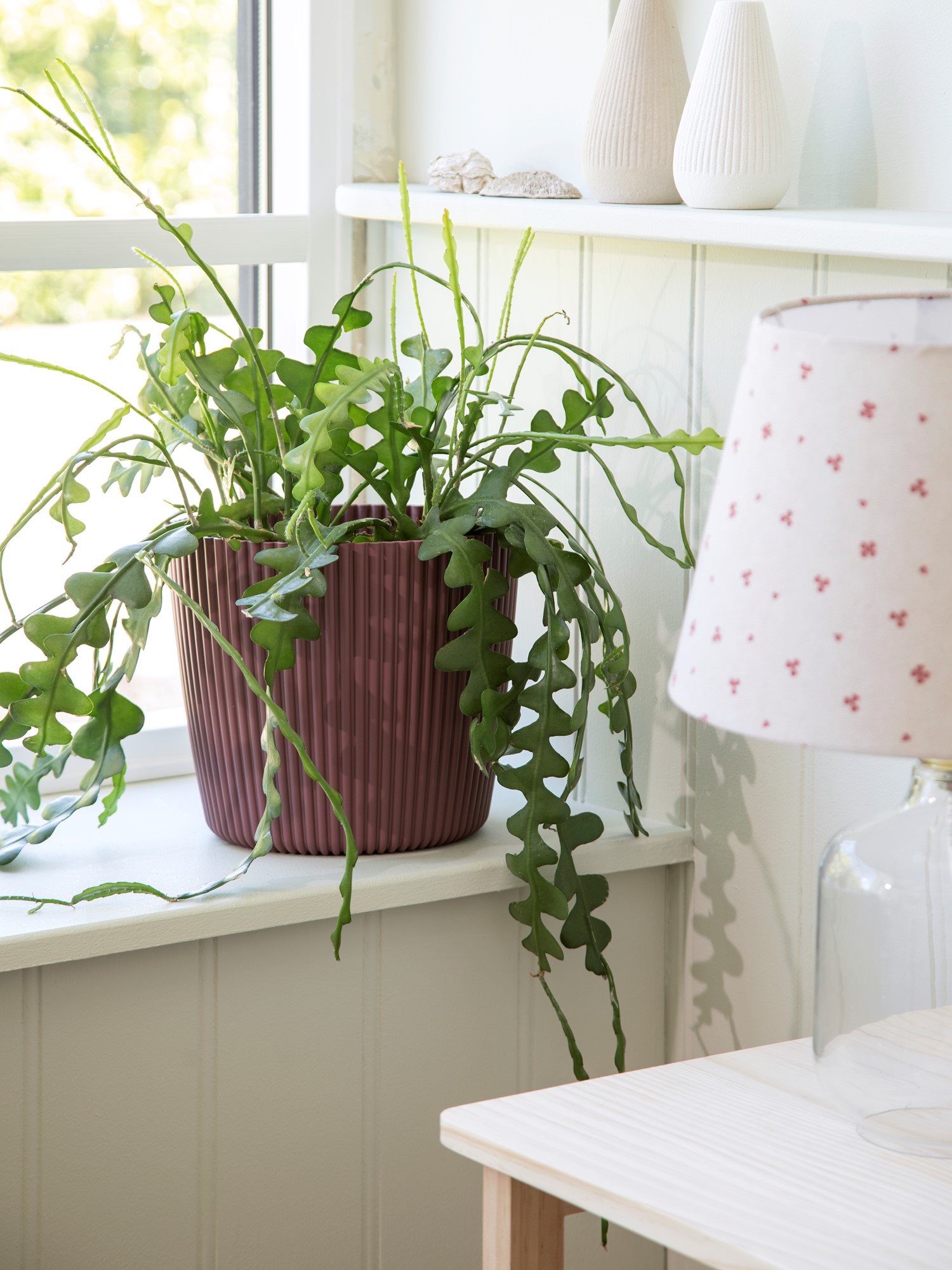 Vasen und Blumentöpfe | Grünes Heim | Søstrene Grene