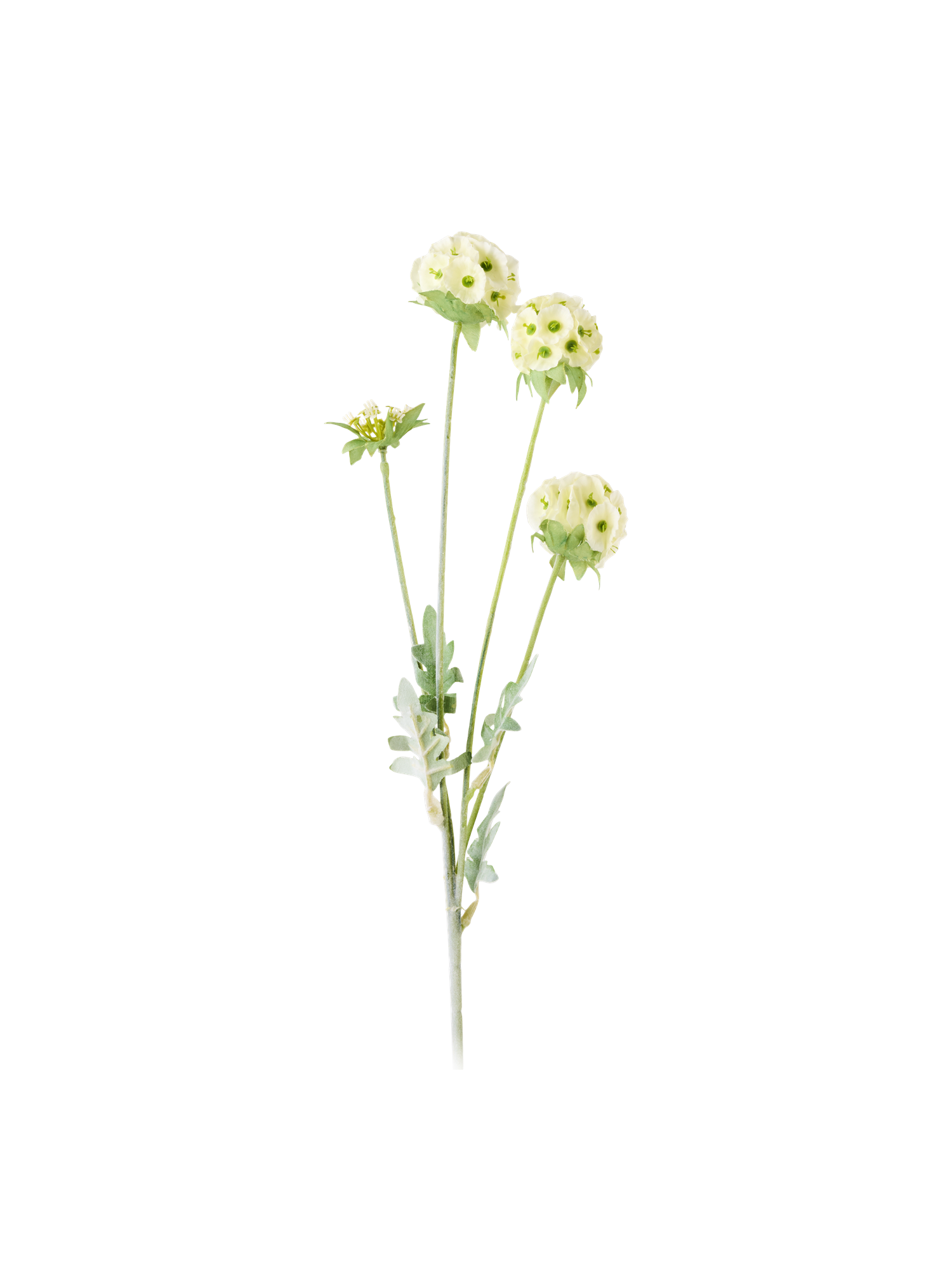 Søstrene Grene Artificial drumstick flower | King's Cross