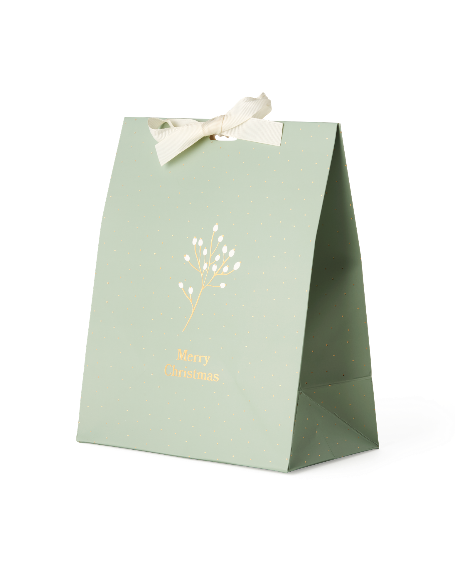 Sachet cadeau avec ruban | Papier. 19 x 24 x 11 cm. | Dusty Green