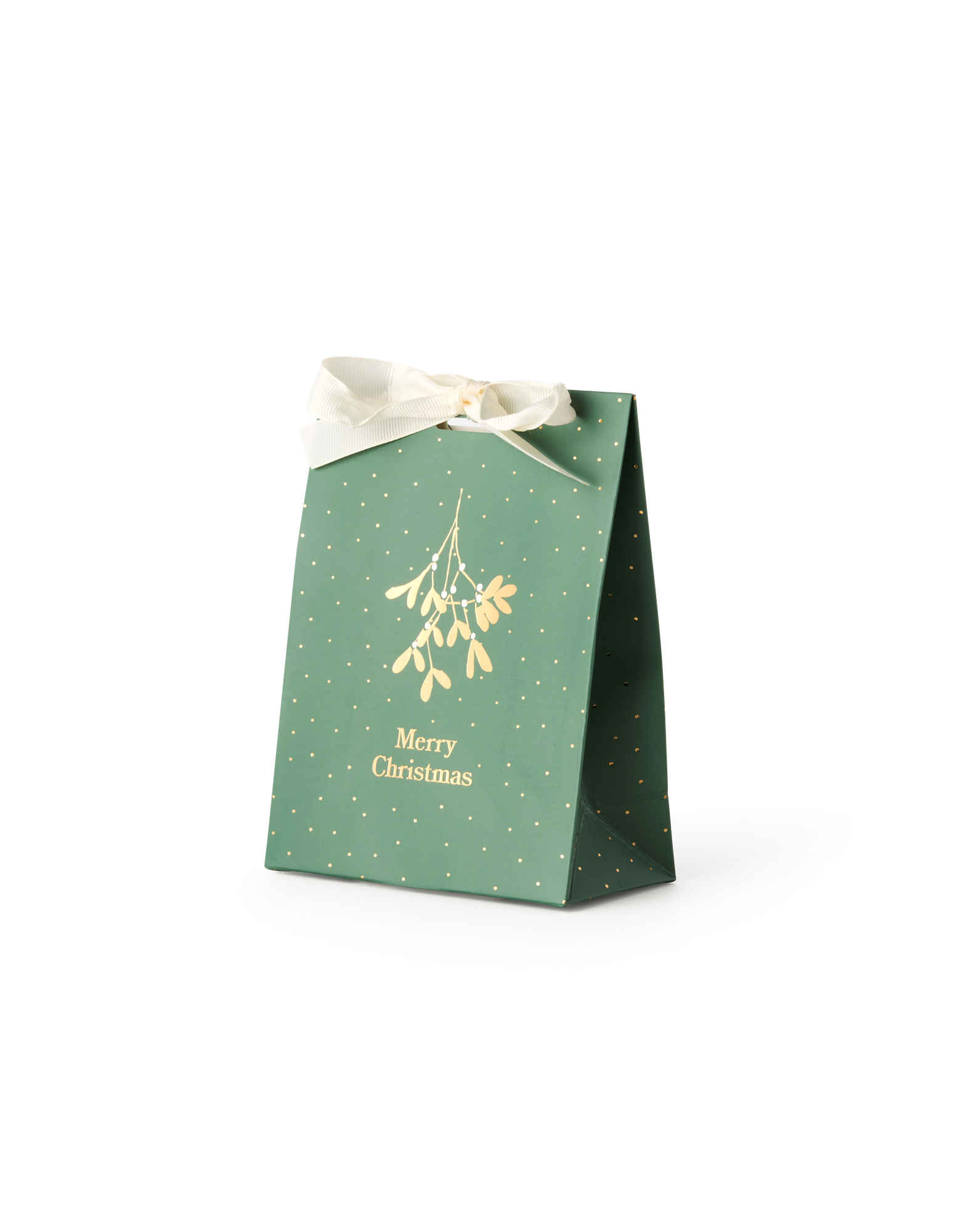 Sachet cadeau avec ruban | Papier. 12 x 16 x 6 cm. | Pine Green