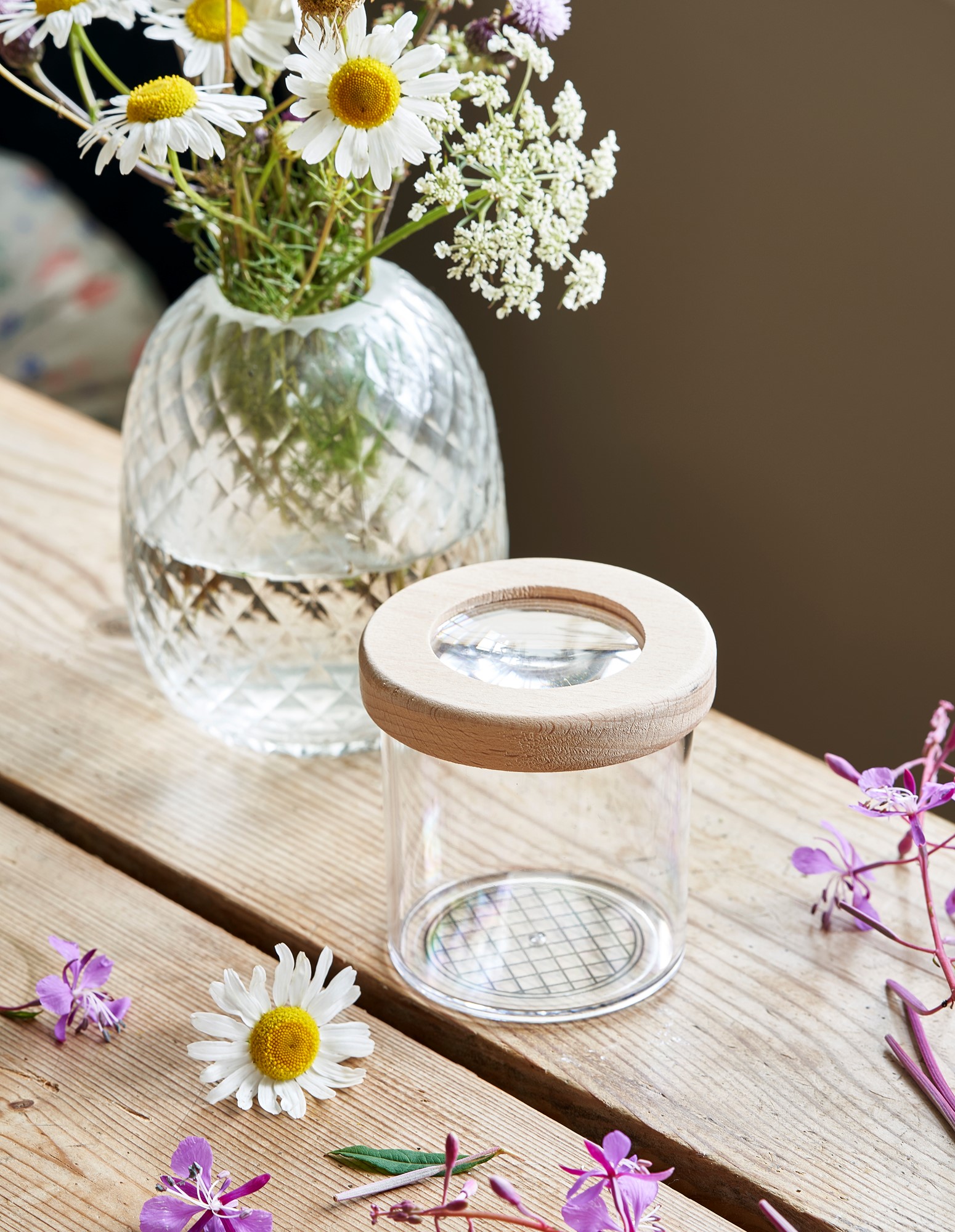 Observation box | Beech wood/plastic. 7 cm. | Søstrene Grene