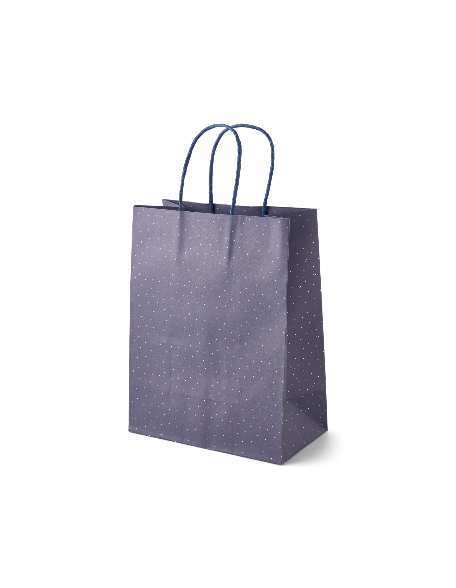 Sac cadeau | Papier. 18 x 10 x 22,7 cm. | Navy, Silver